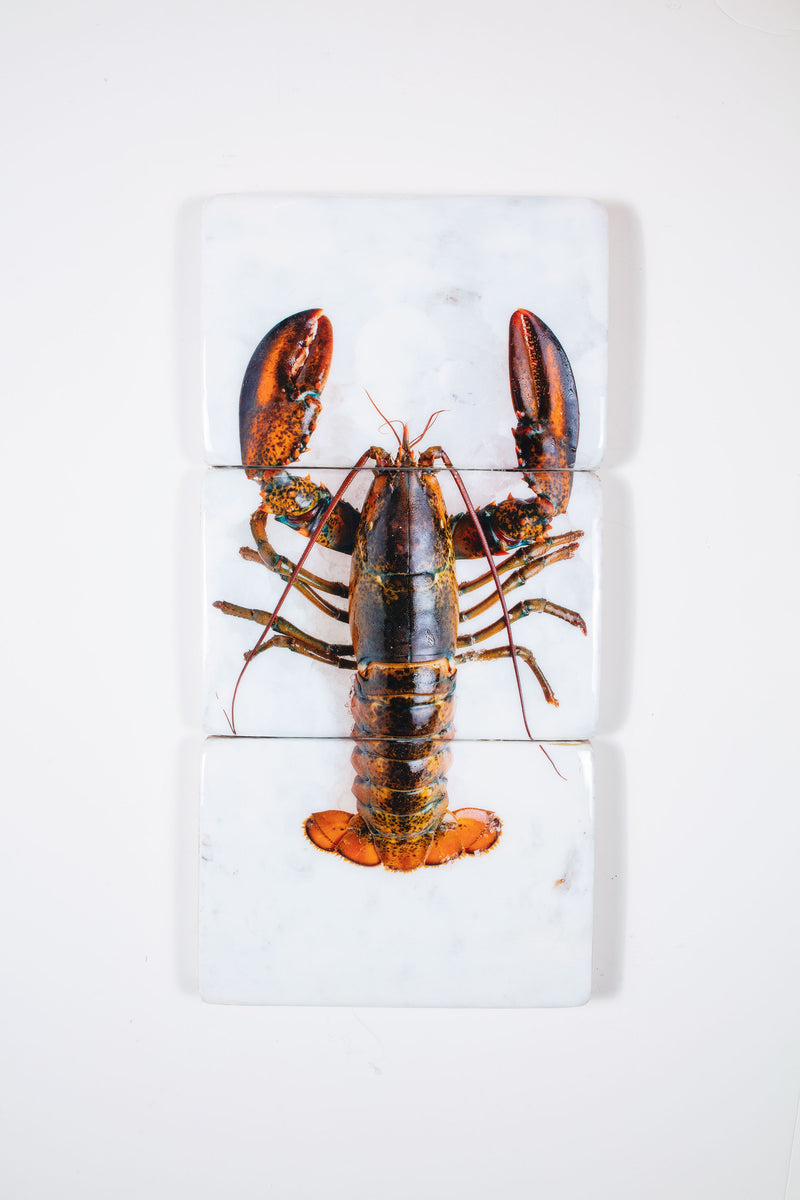 Canner lobster on ice (29cm x 60cm) – Stigerwoods