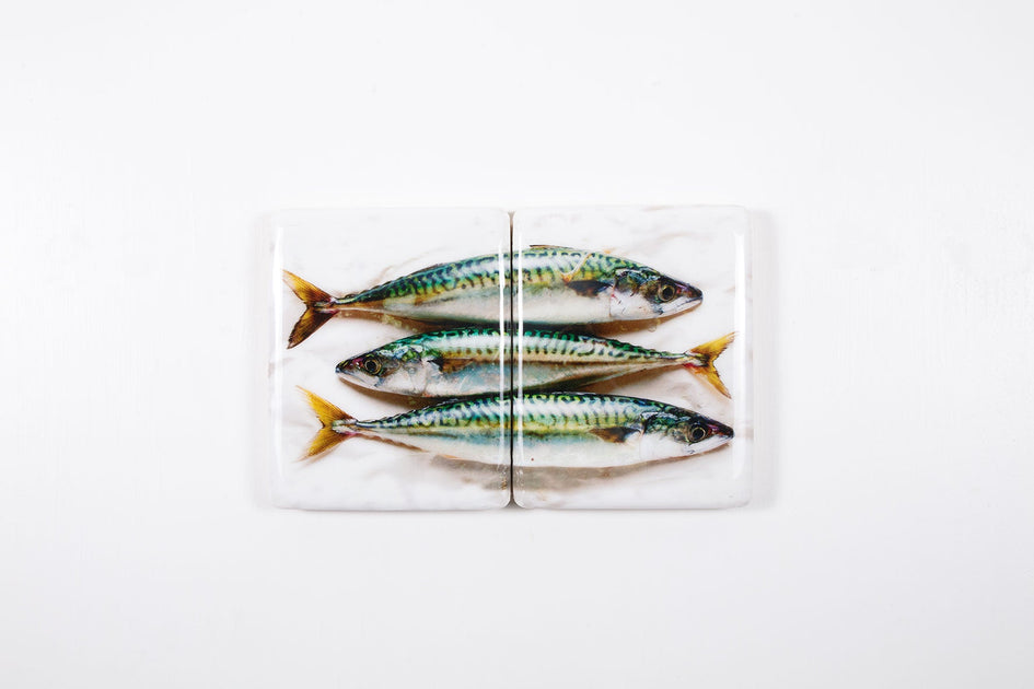 Fish Collection – Stigerwoods