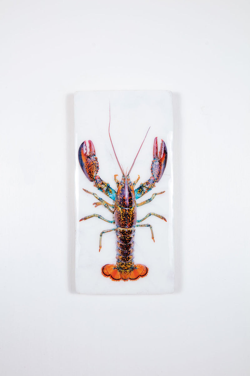 Canner lobster (20cm x 40cm) – Stigerwoods