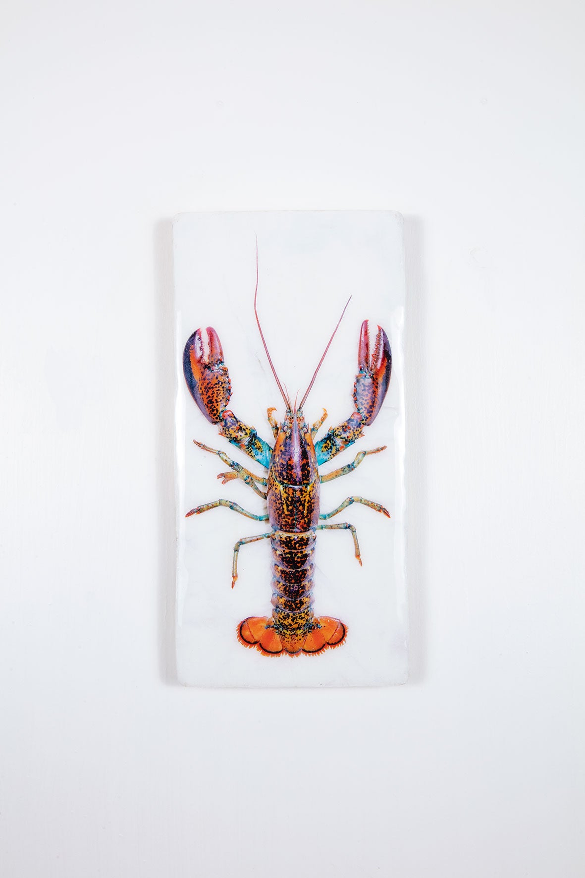 Shellfish Collection – Page 3 – Stigerwoods