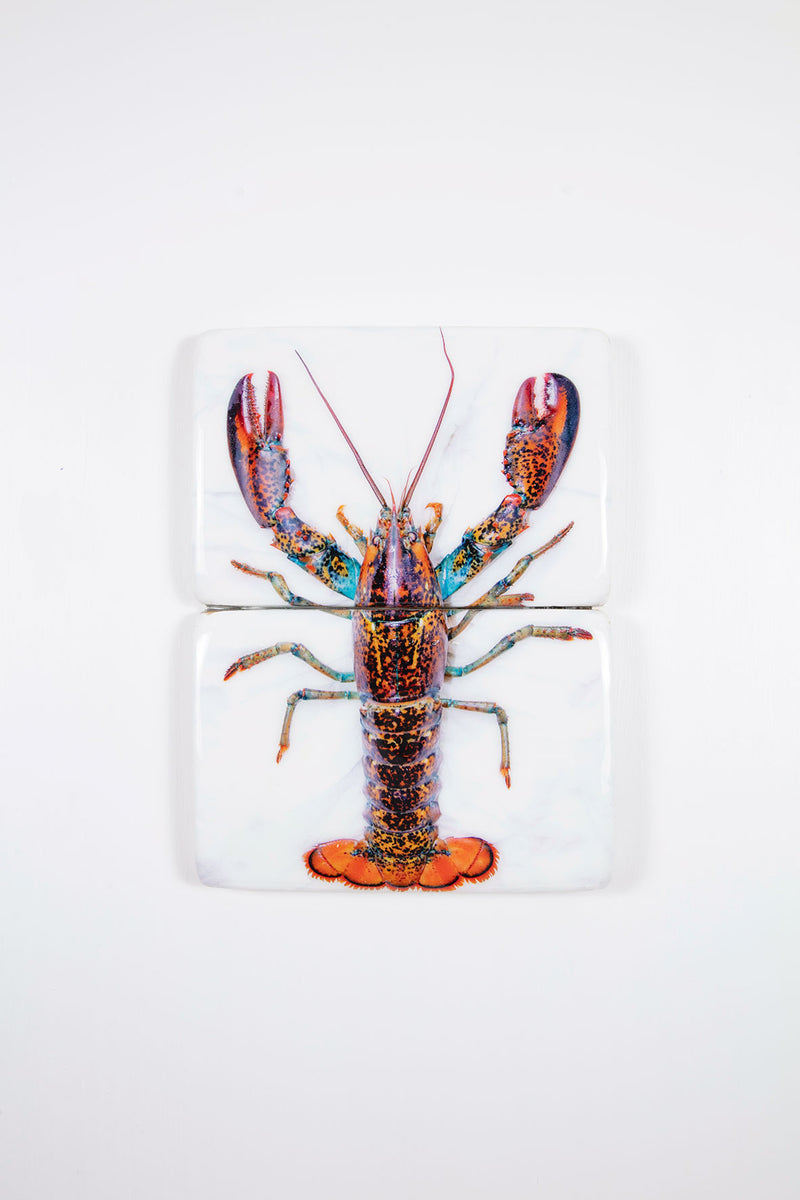 Canner lobster (29cm x 40cm) – Stigerwoods