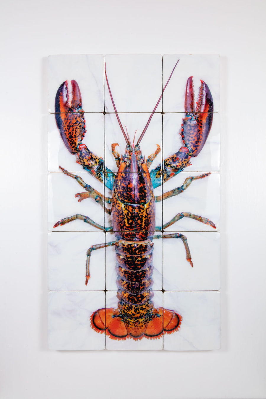 Canner lobster (60cm x 100cm) – Stigerwoods