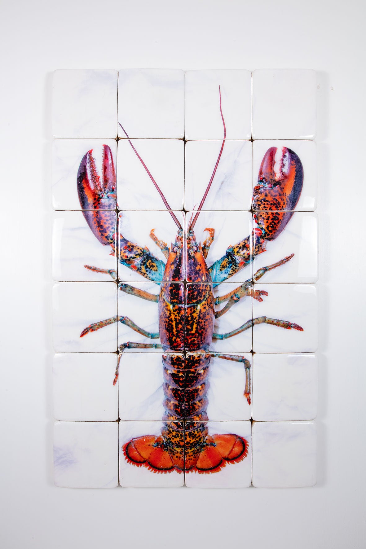Shellfish Collection – Stigerwoods