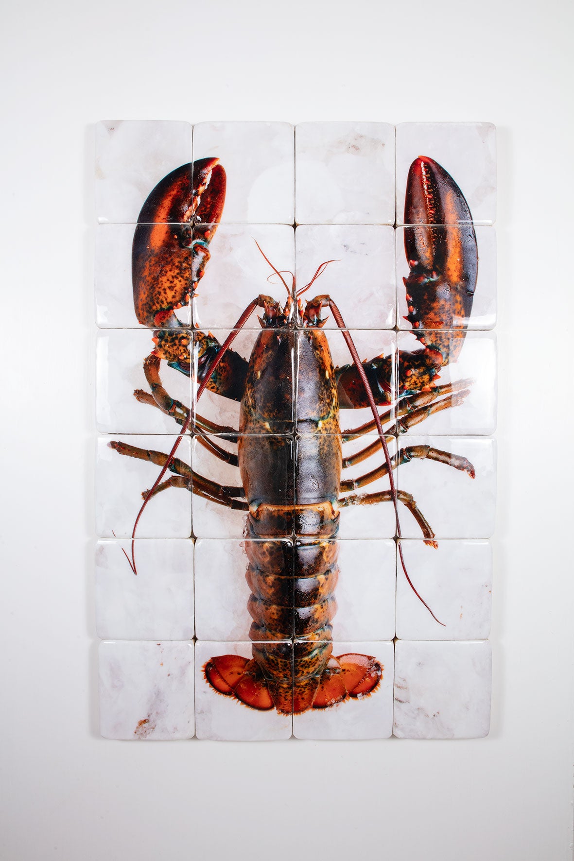 Shellfish Collection – Stigerwoods