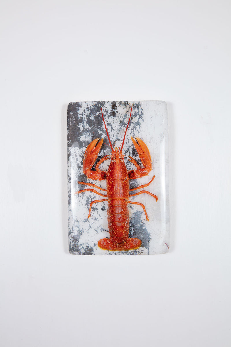 Red european lobster on black and white table (20cm x 29cm) – Stigerwoods