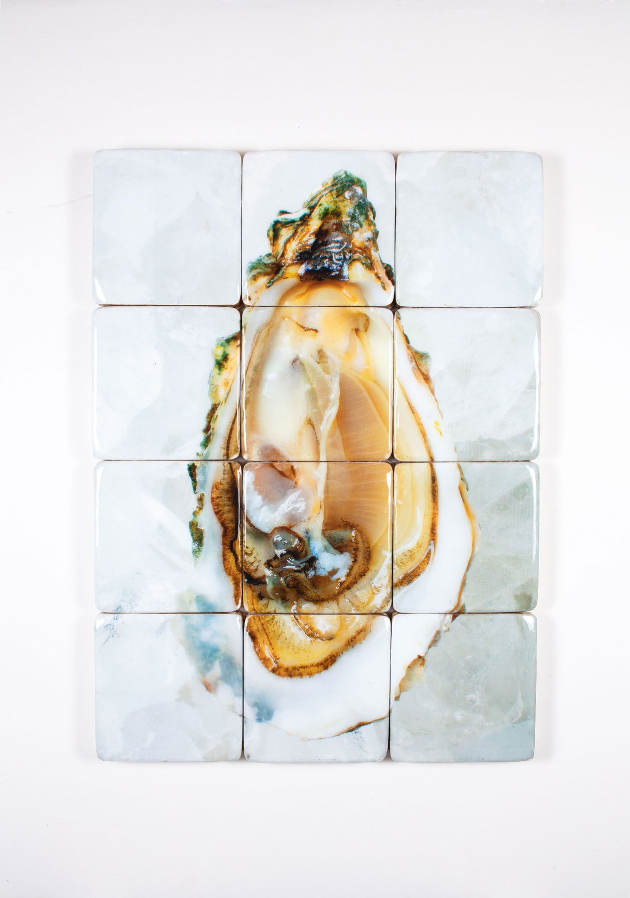 Shellfish Collection – Stigerwoods