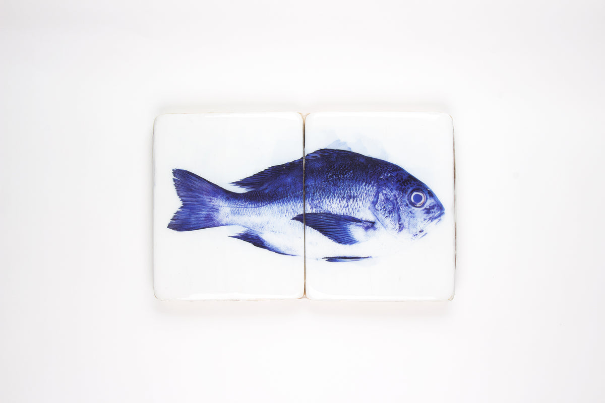 Blue snapper (40cm x 24cm) – Stigerwoods