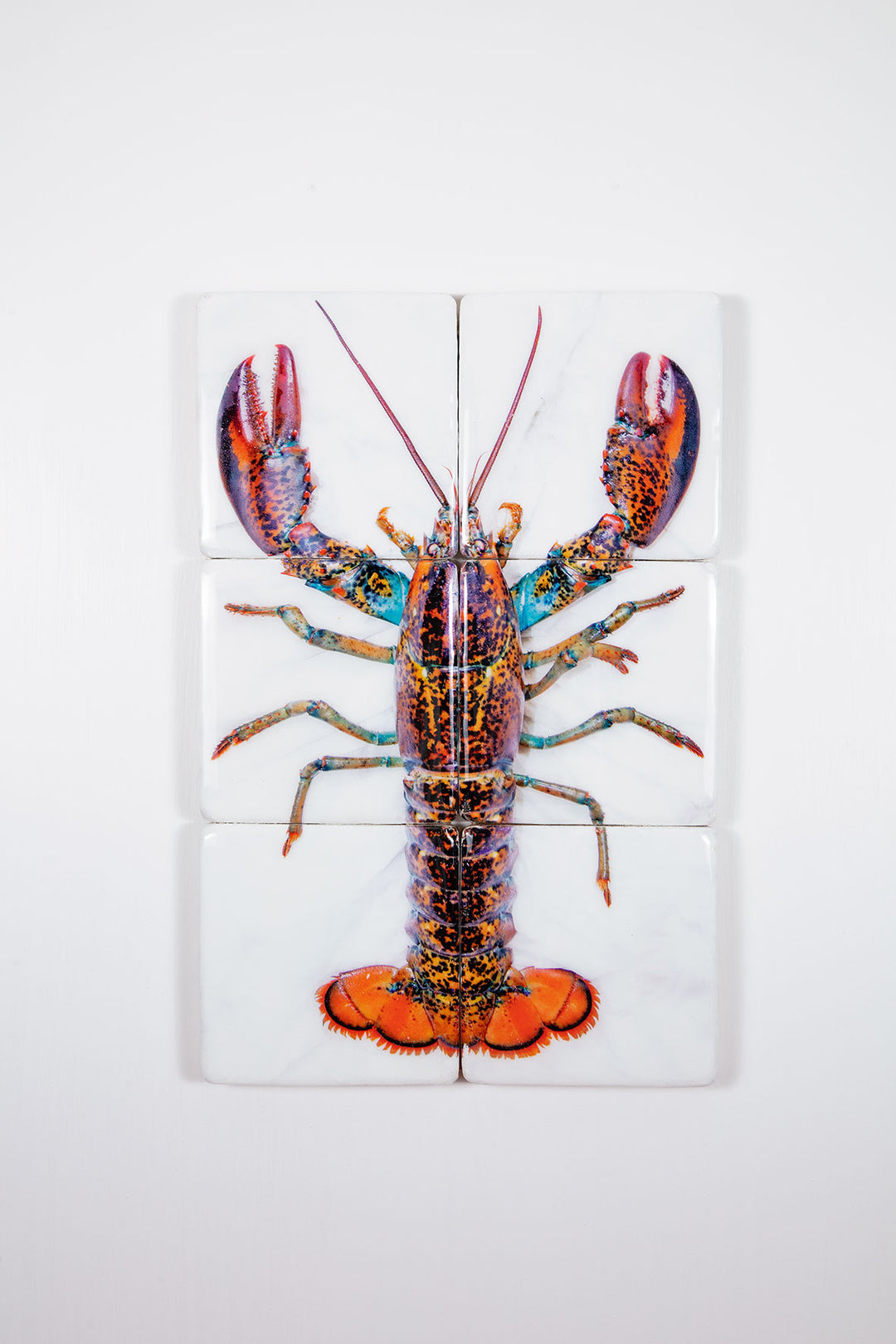 Canner lobster (40cm x 60cm) – Stigerwoods