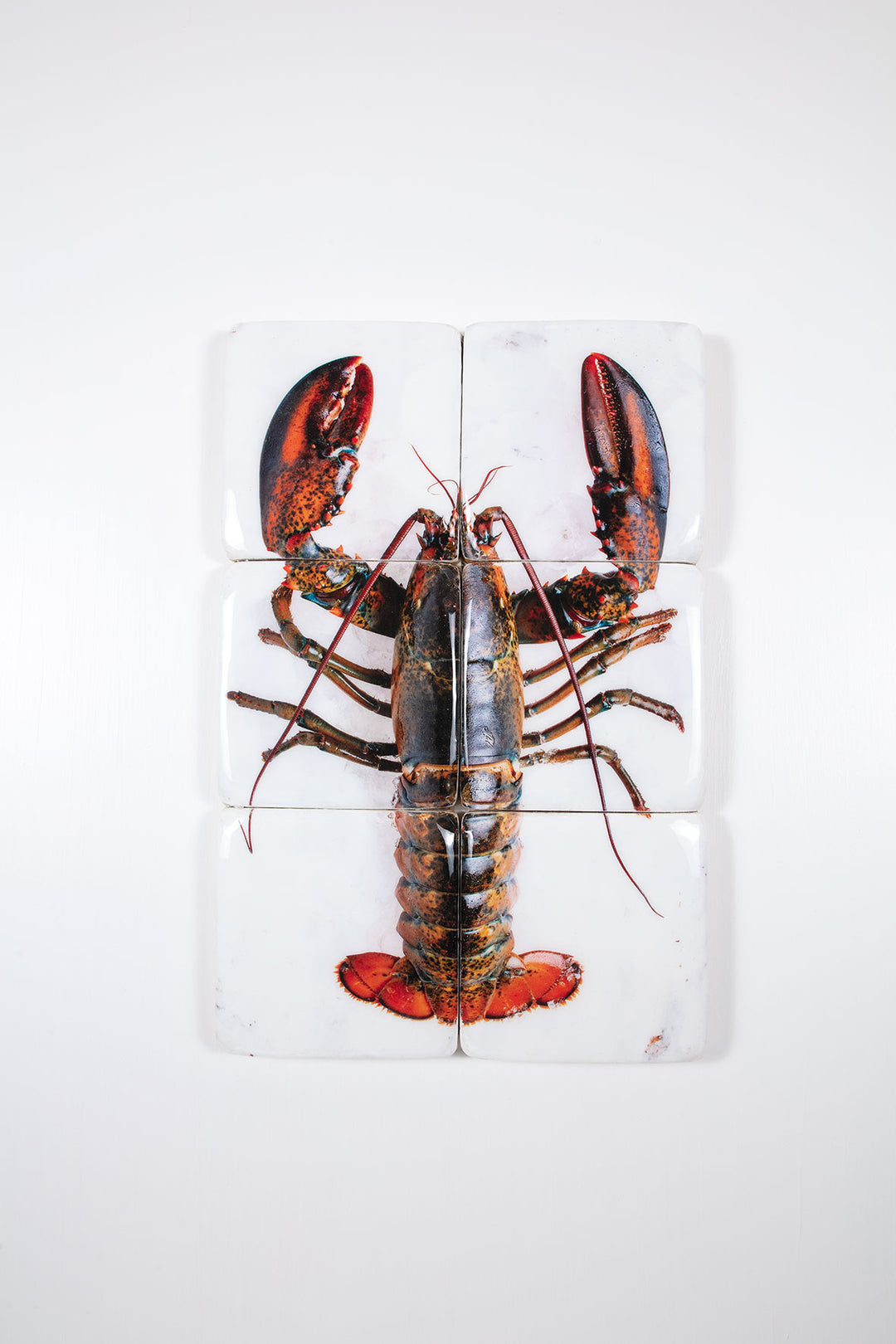 Canner lobster on ice (40cm x 60cm) – Stigerwoods