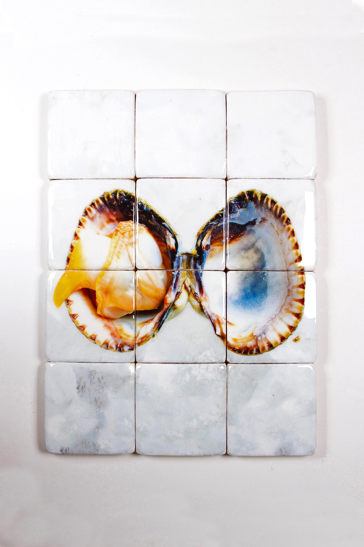 Shellfish Collection – Page 3 – Stigerwoods