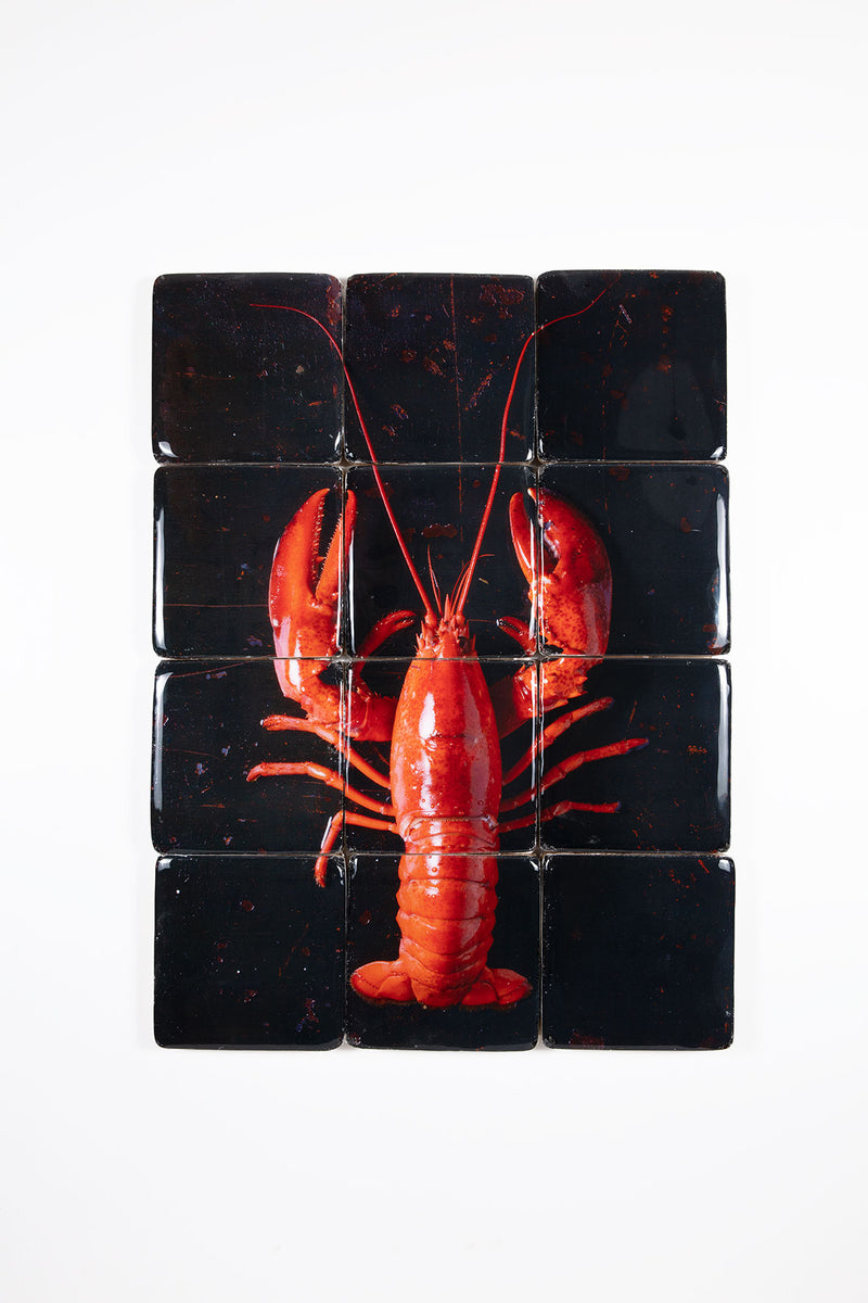 Cooked canner lobster on black (60cm x 80cm) – Stigerwoods