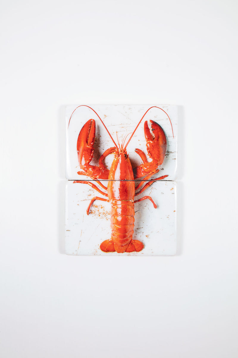Cooked canner lobster on white (29cm x 40cm) – Stigerwoods