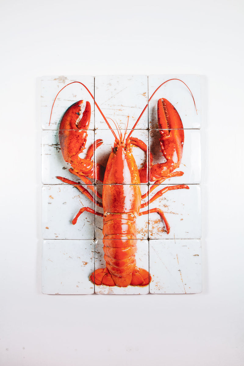 Cooked canner lobster on white (60cm x 80cm) – Stigerwoods