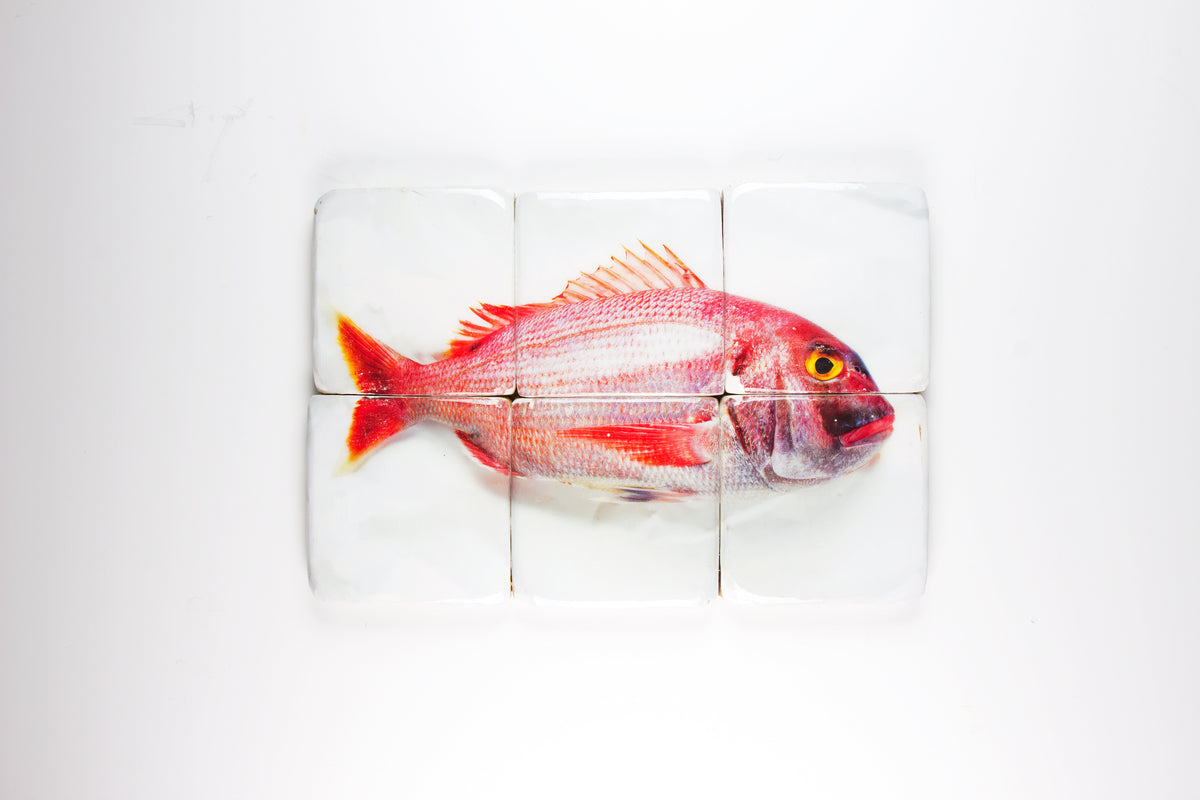 Pagre (60cm x 40cm) – Stigerwoods