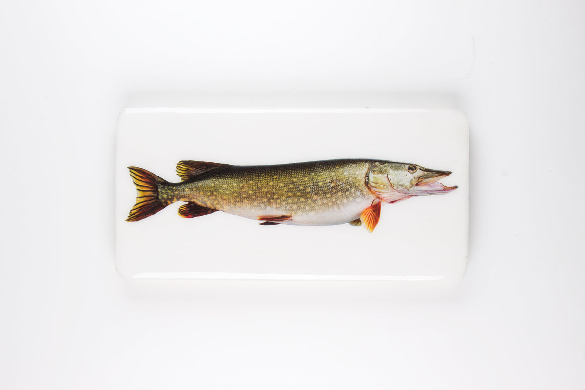 Pike (40cm x 20cm) – Stigerwoods