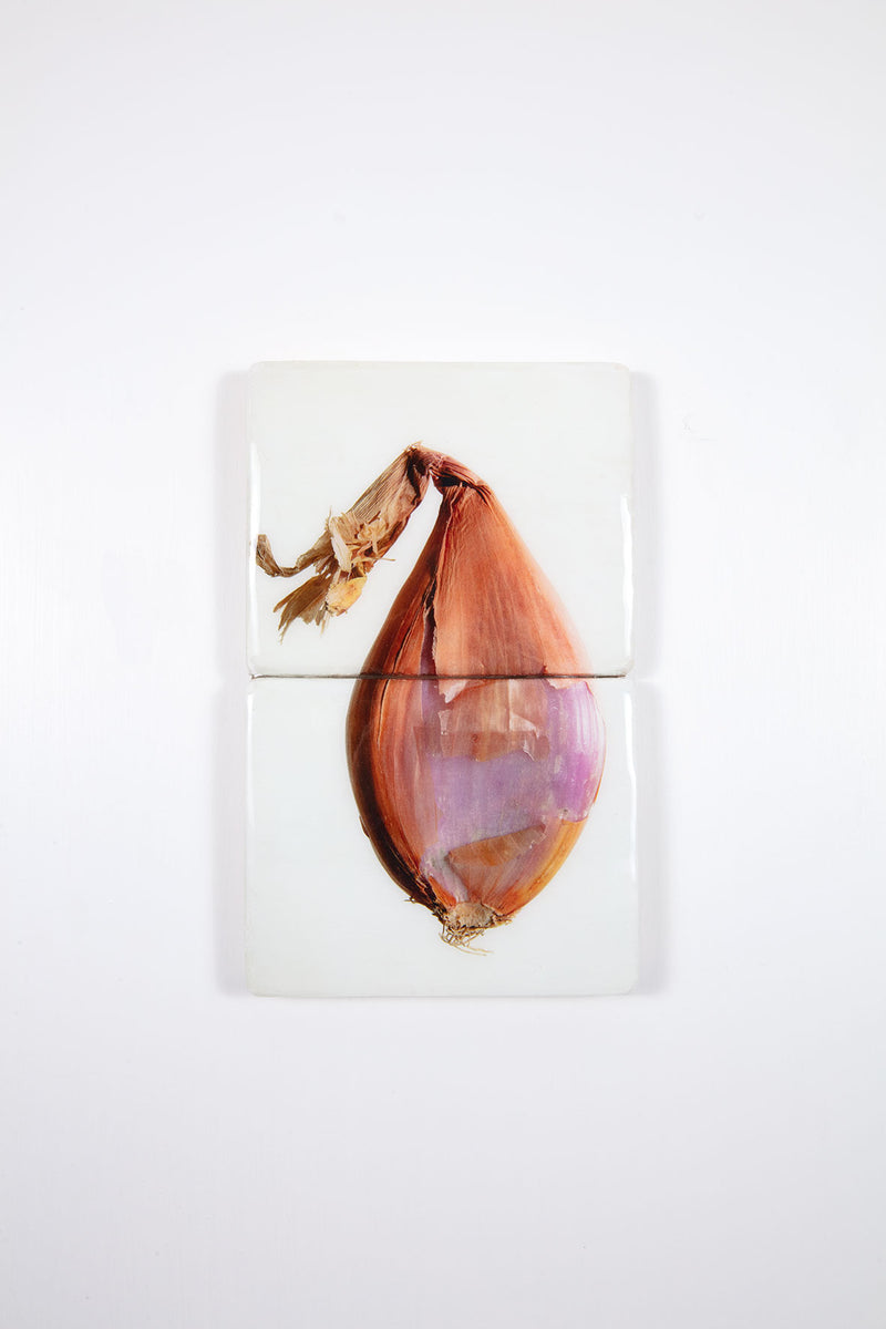 Shallot (24cm x 40cm) – Stigerwoods