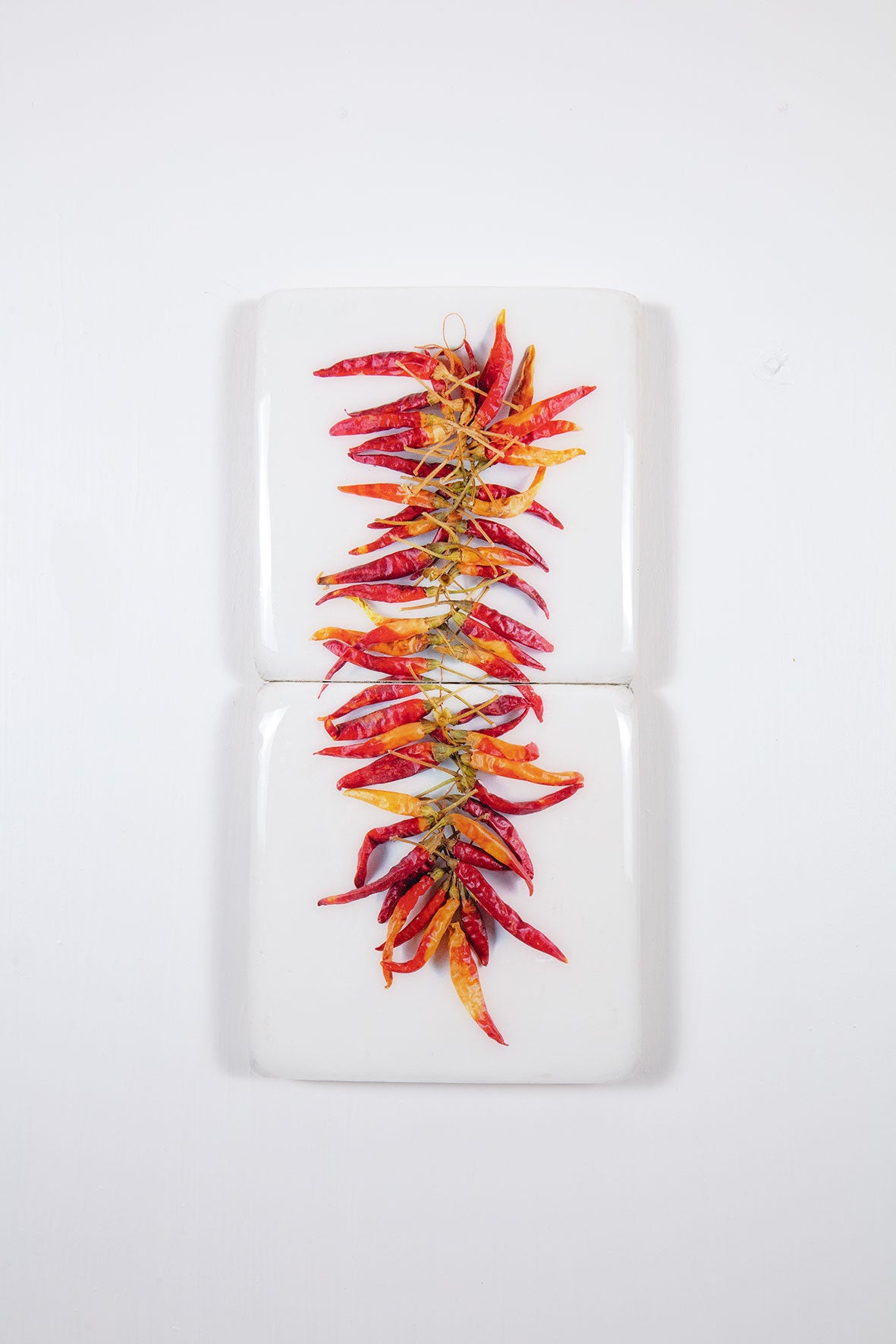 Green Collection – Page 2 – Stigerwoods