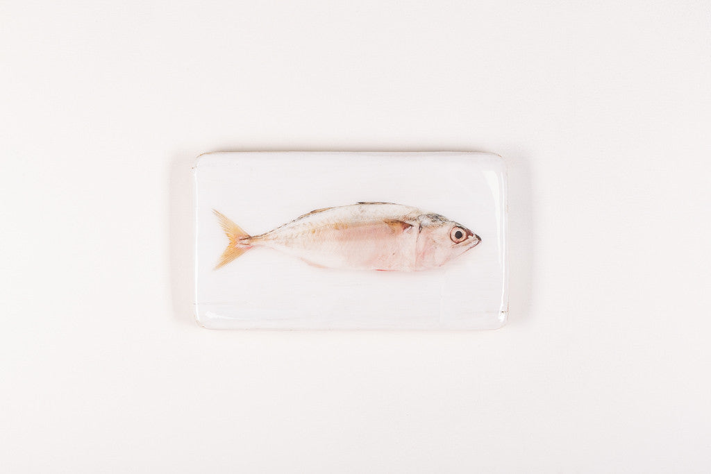 Pink mackerel (35cm x 20cm) – Stigerwoods