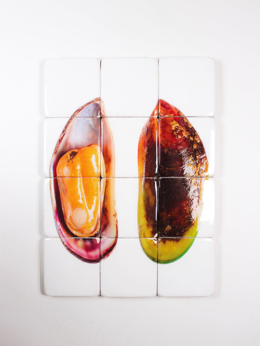 Yellow mussel and mussel shell (60cm x 80cm) – Stigerwoods