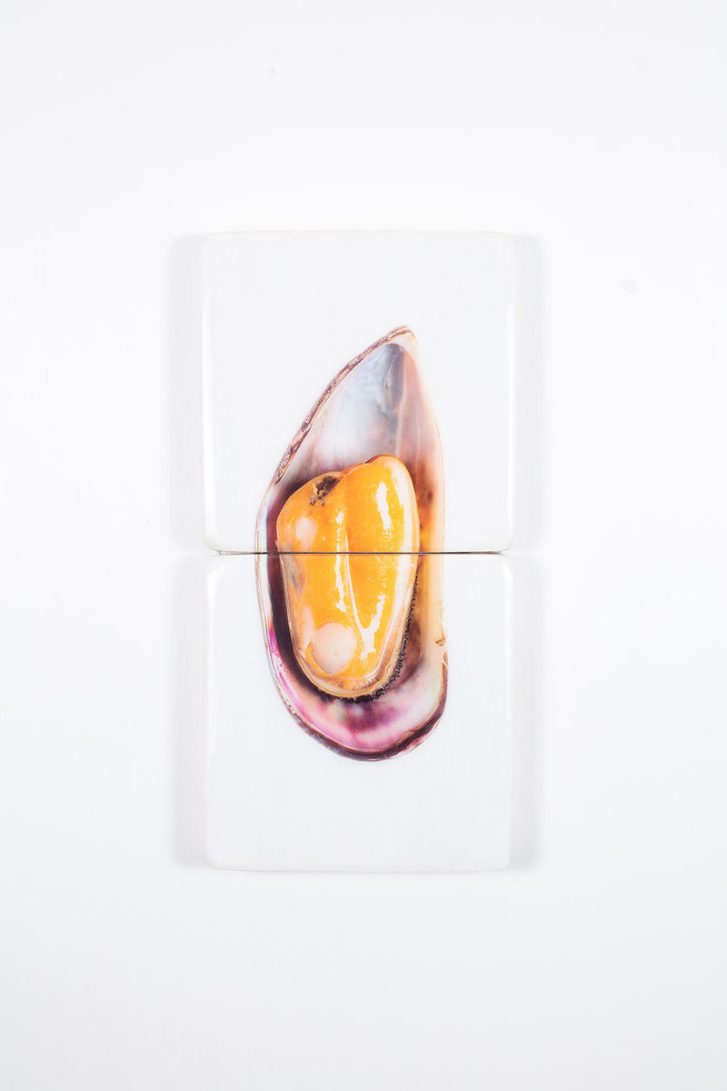 Yellow mussel *2 (20cm x 40cm) – Stigerwoods